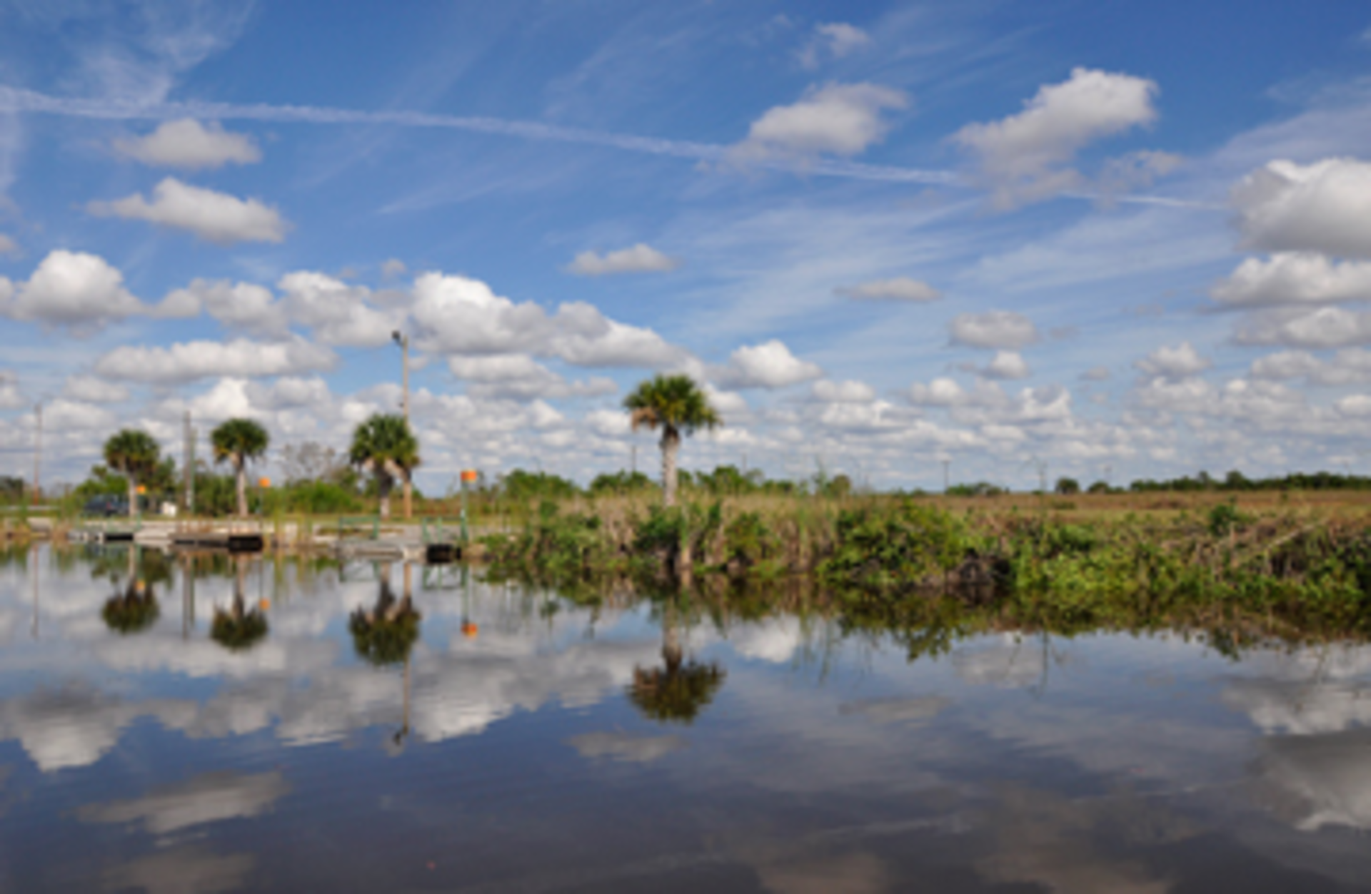 EPA awards National Wetland Program Development Grants to protect and ...