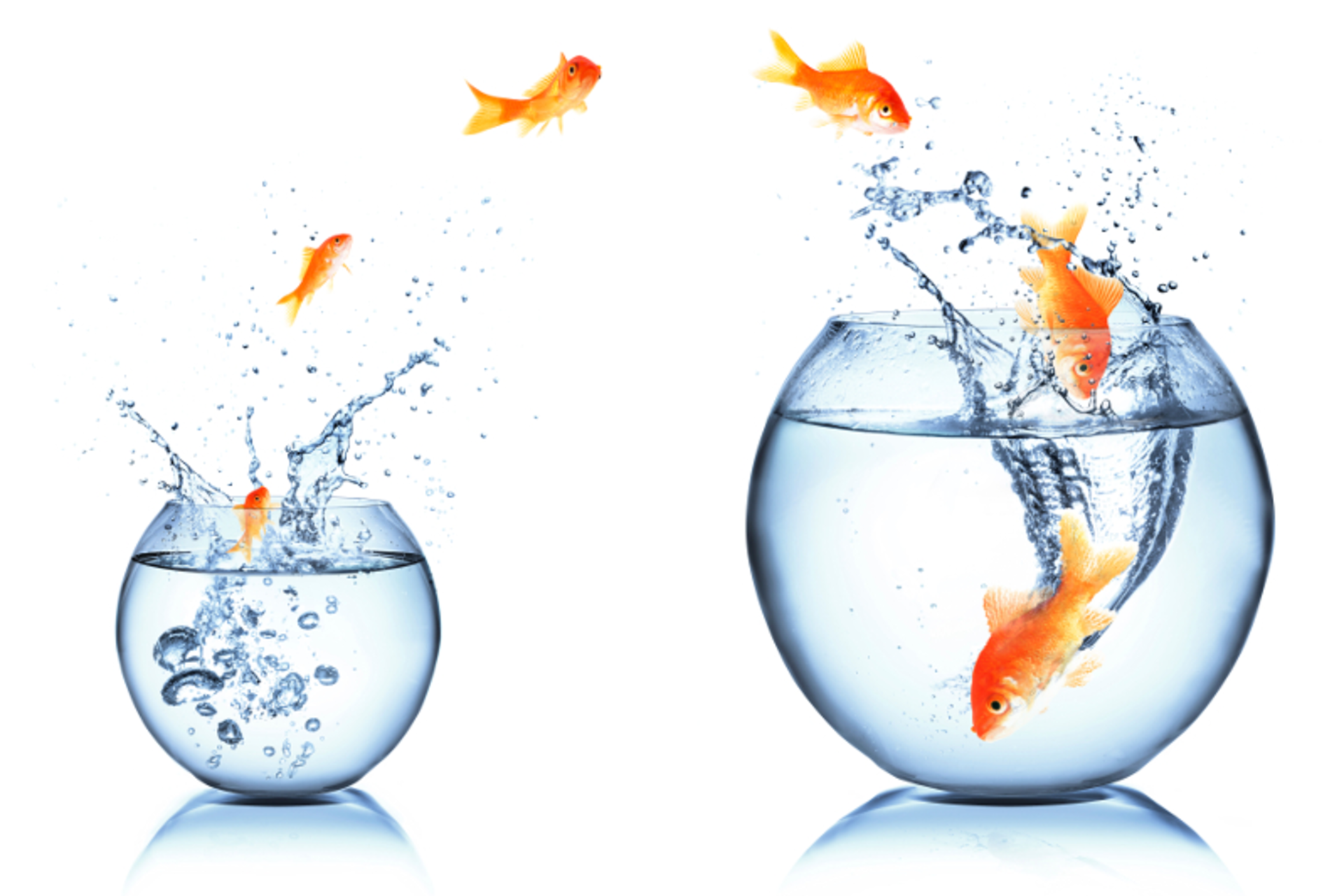 Xylem appoints executive leadership from within | Water Technology