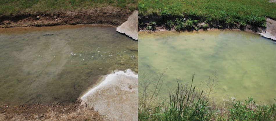 Photosynthesis-Inhibiting Biocide Eliminates, Controls Algae | Water ...