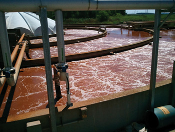 Aeration System Overhaul Improves Efficiency, Performance | Water Tech ...