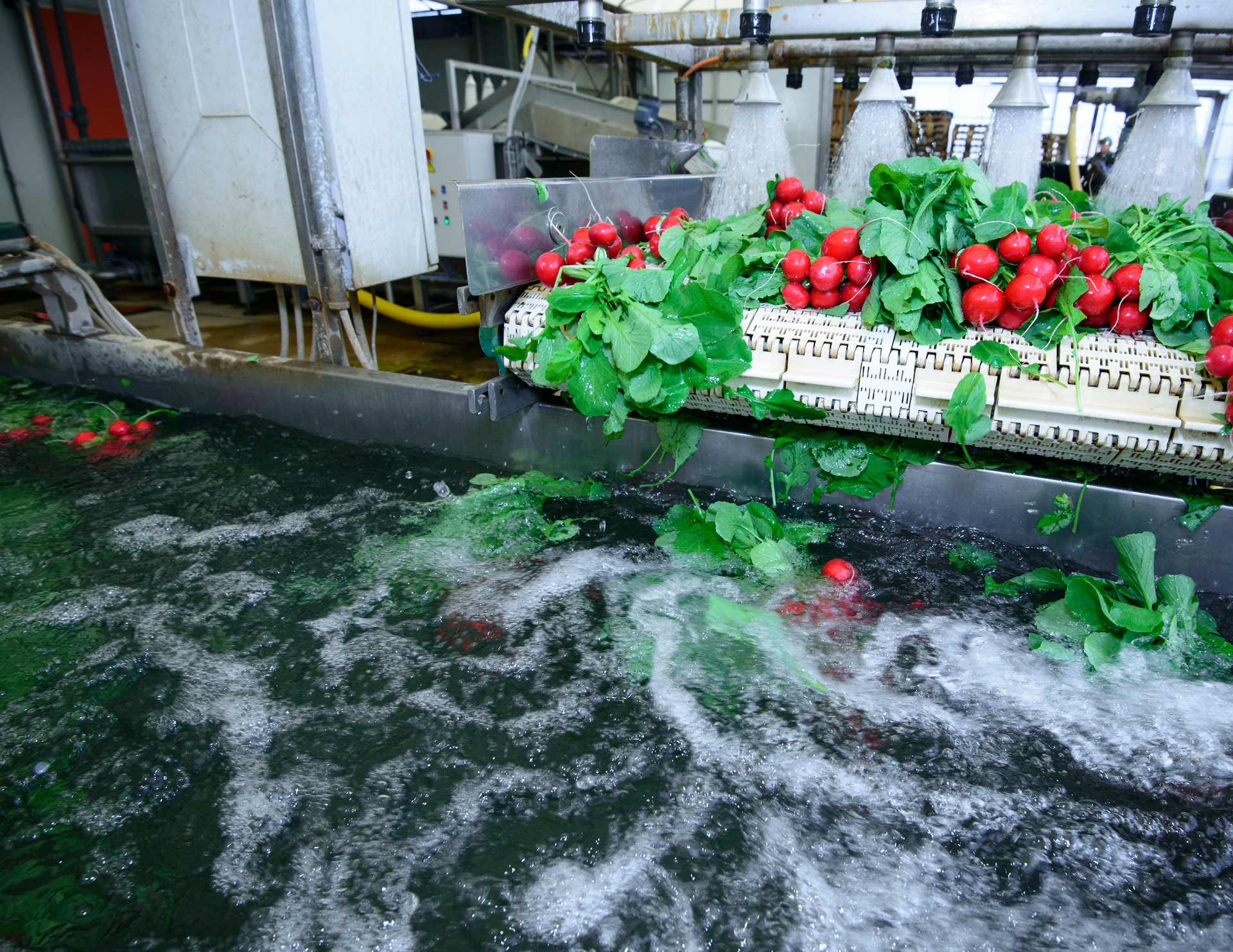 Report urges food and beverage industry to adopt water best practices ...