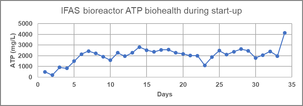 Bioaugmentation: When secondary treatment is of primary importance ...